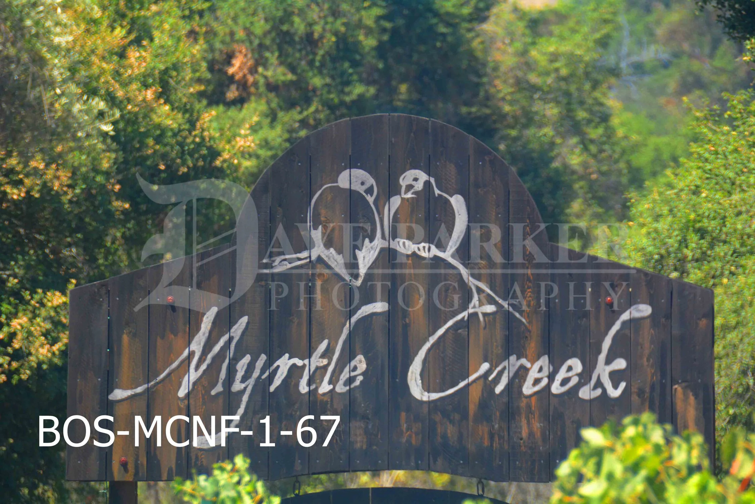 Best of Show - Myrtle Creek Nursery, Fallbrook — Dave Parker Photography