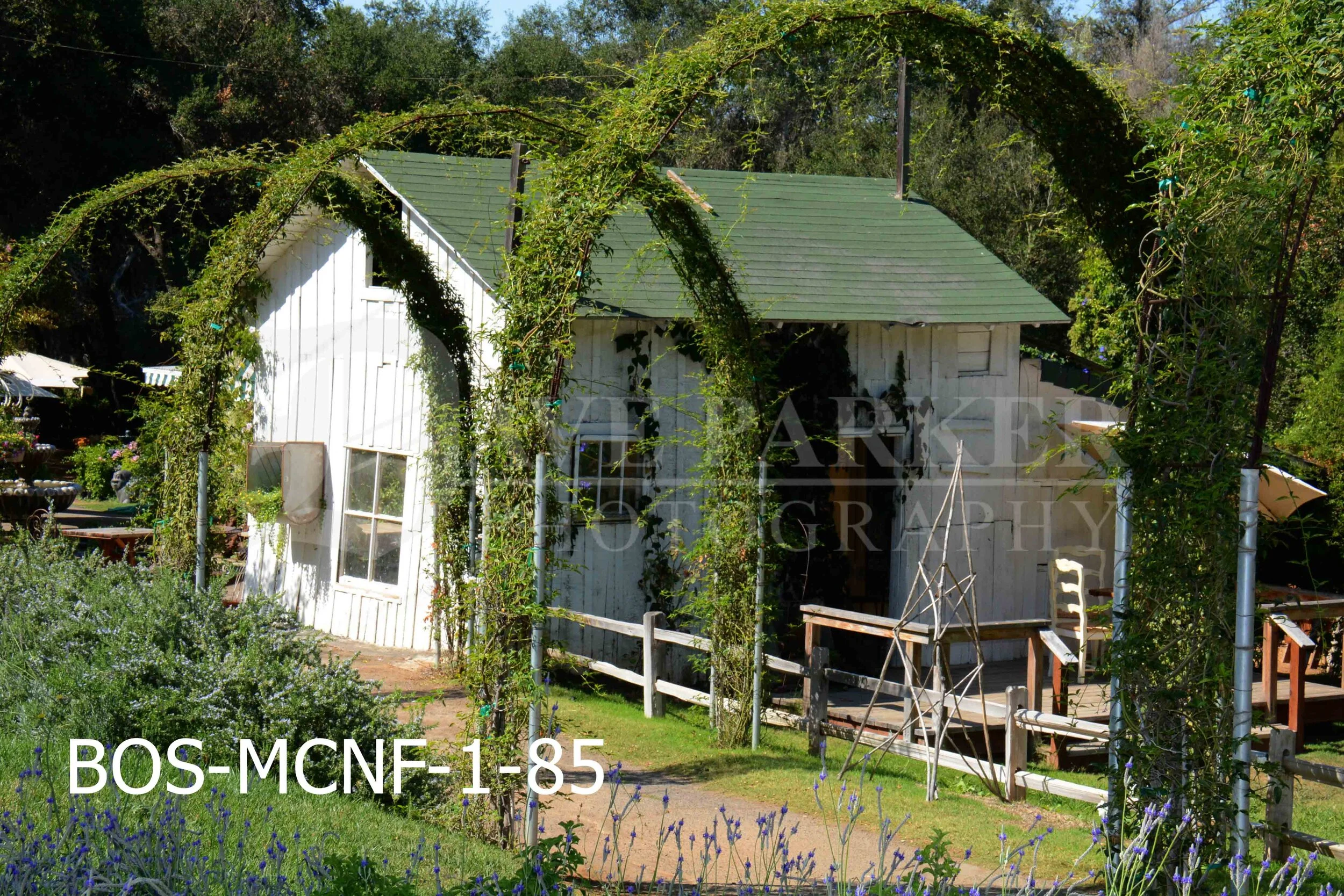 Best of Show - Myrtle Creek Nursery, Fallbrook — Dave Parker Photography