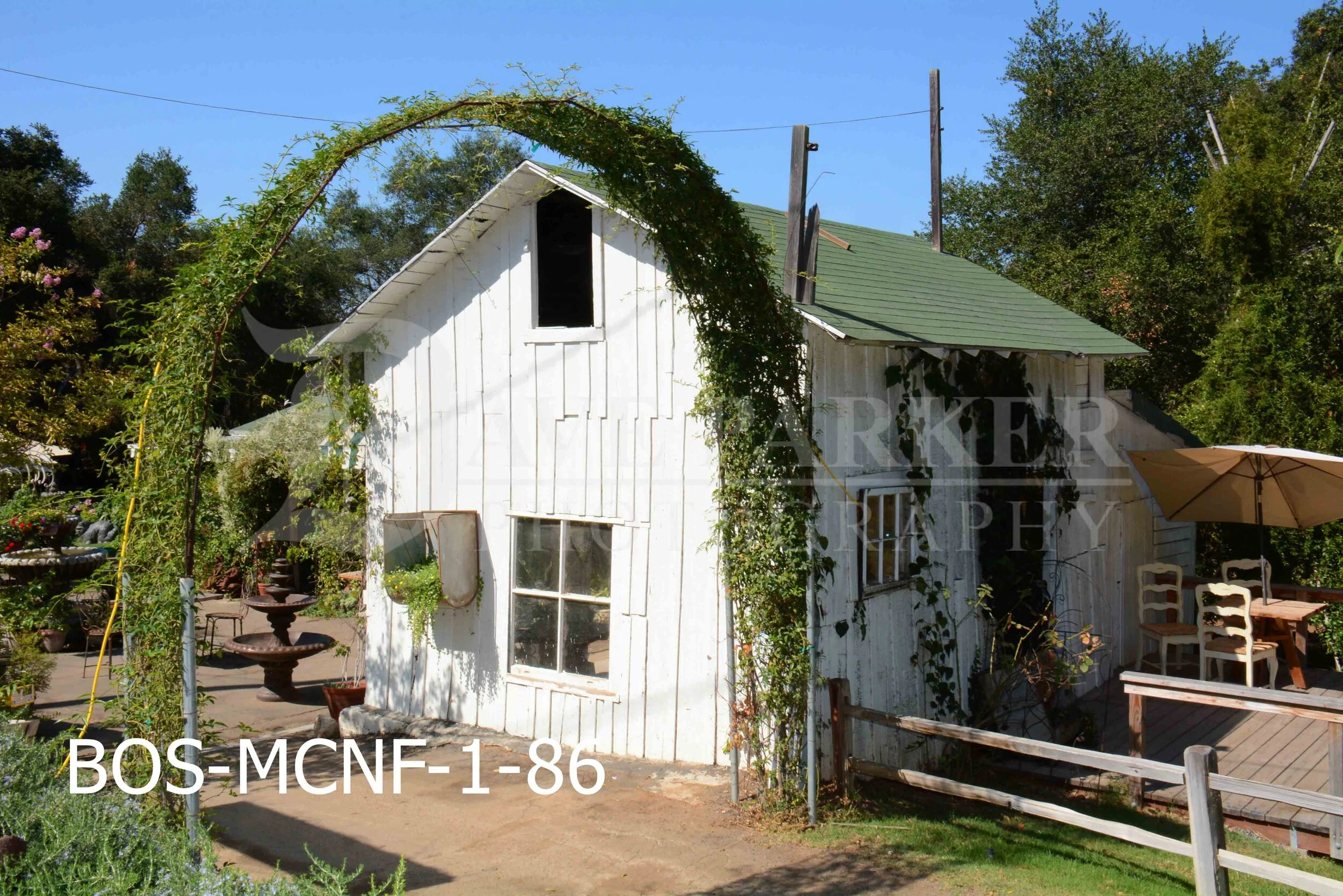 Best of Show - Myrtle Creek Nursery, Fallbrook — Dave Parker Photography