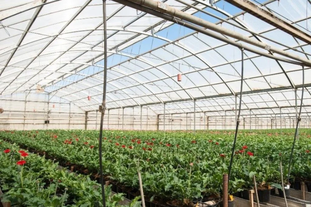 Greenhouse Project Experience, Multiple Projects — SETTY & Associates ...