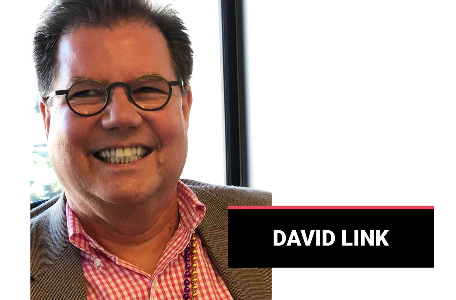 David Link — Queer Majority