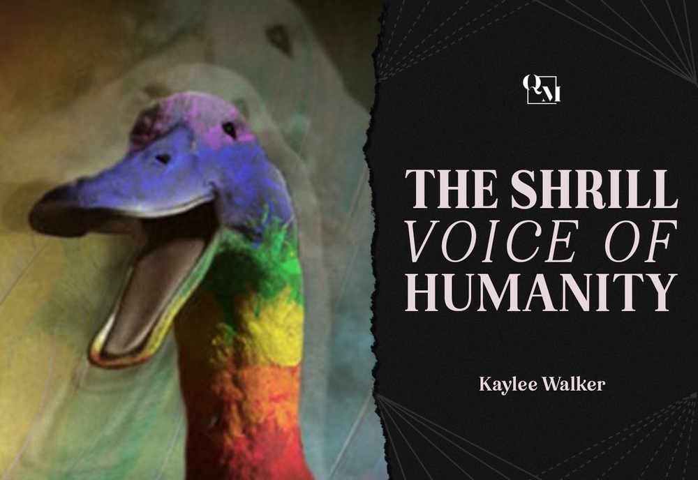 The Shrill Voice of Humanity — Queer Majority