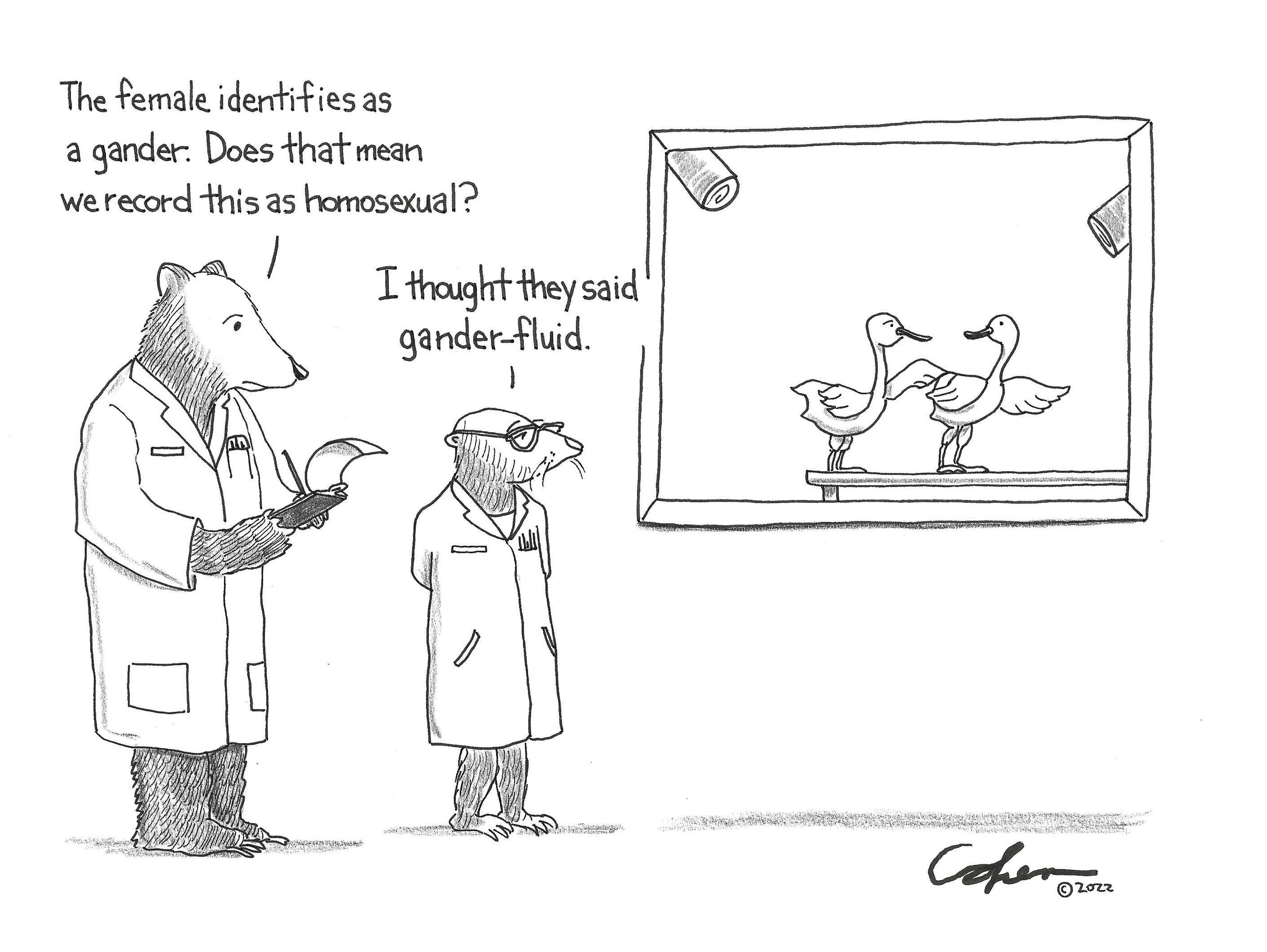 Gander Fluid — Queer Majority