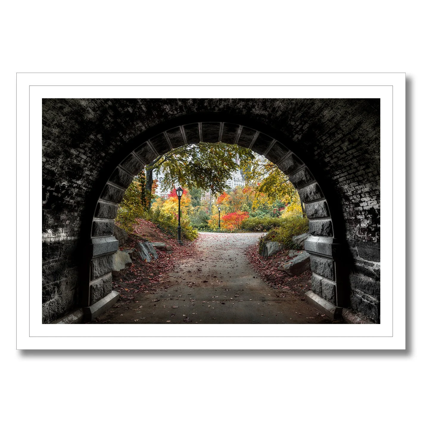 Tunnel Bridge Central Park Under Pass New York City Fine Art ...