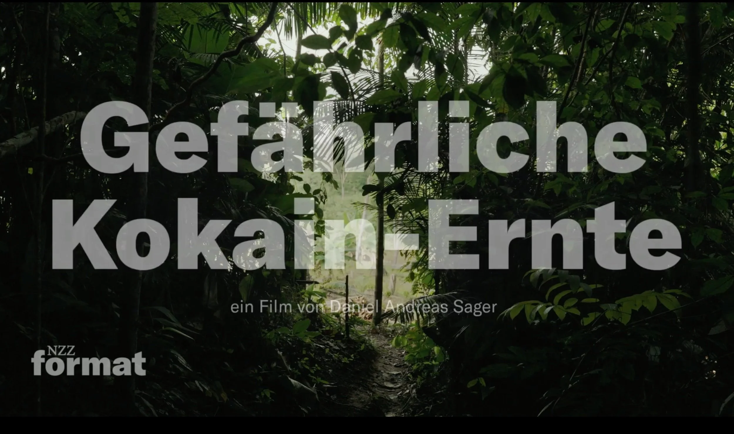 SOME WORK — SOFIA VILLAMIL