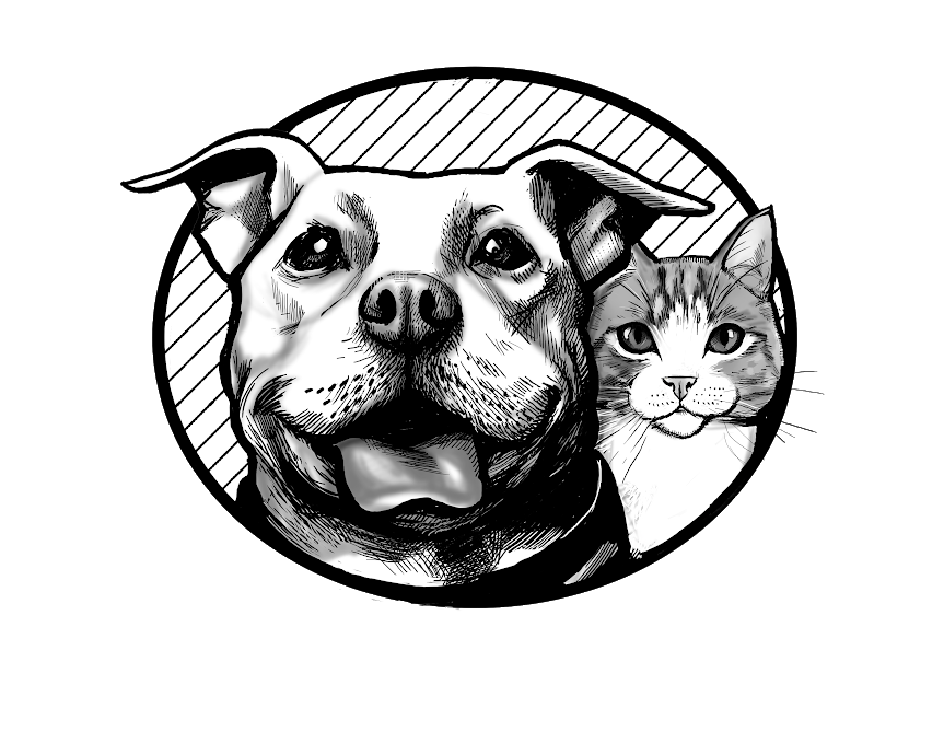 Burlington, VT — The Street Dog Coalition