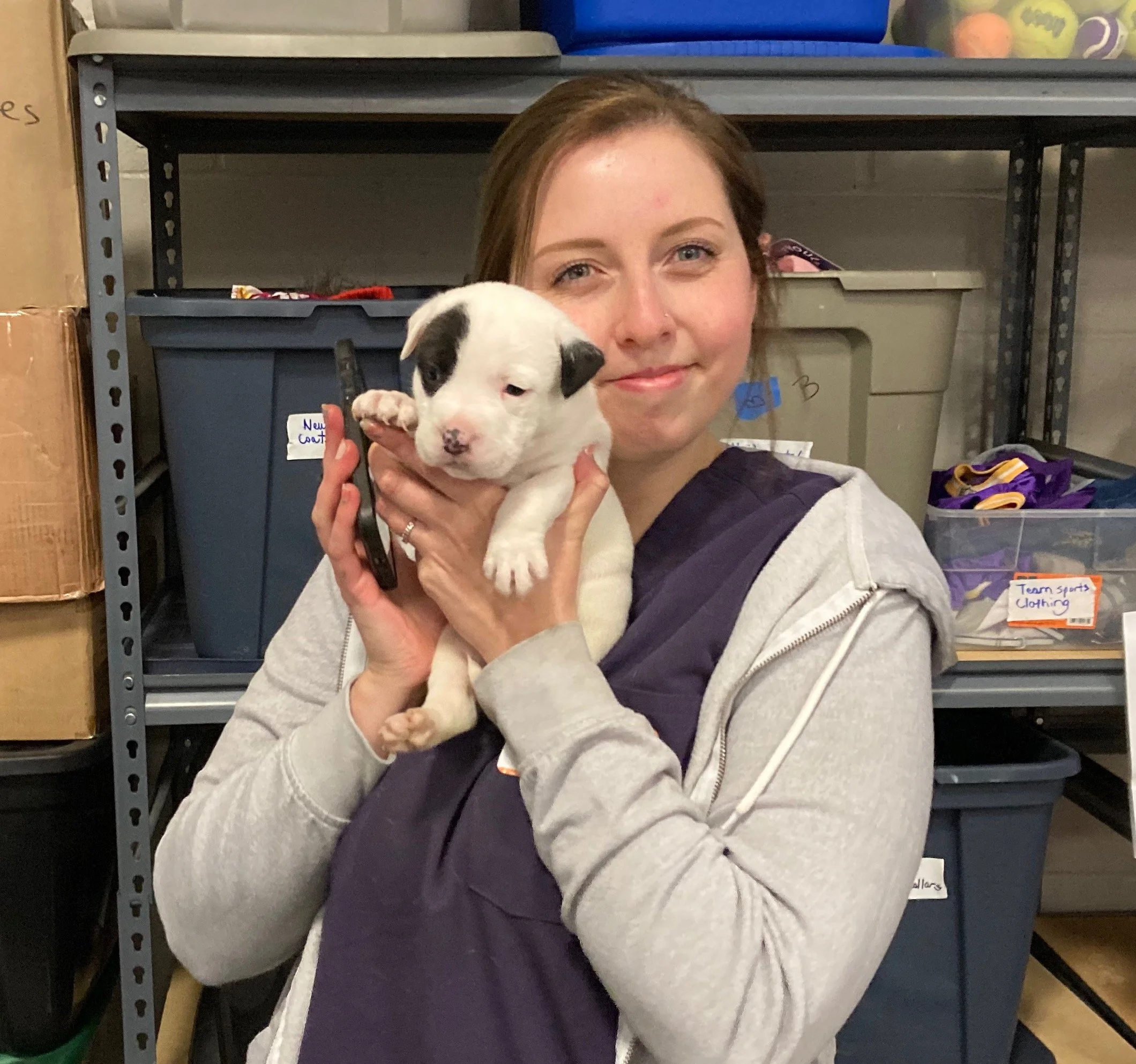 Minneapolis, MN — The Street Dog Coalition