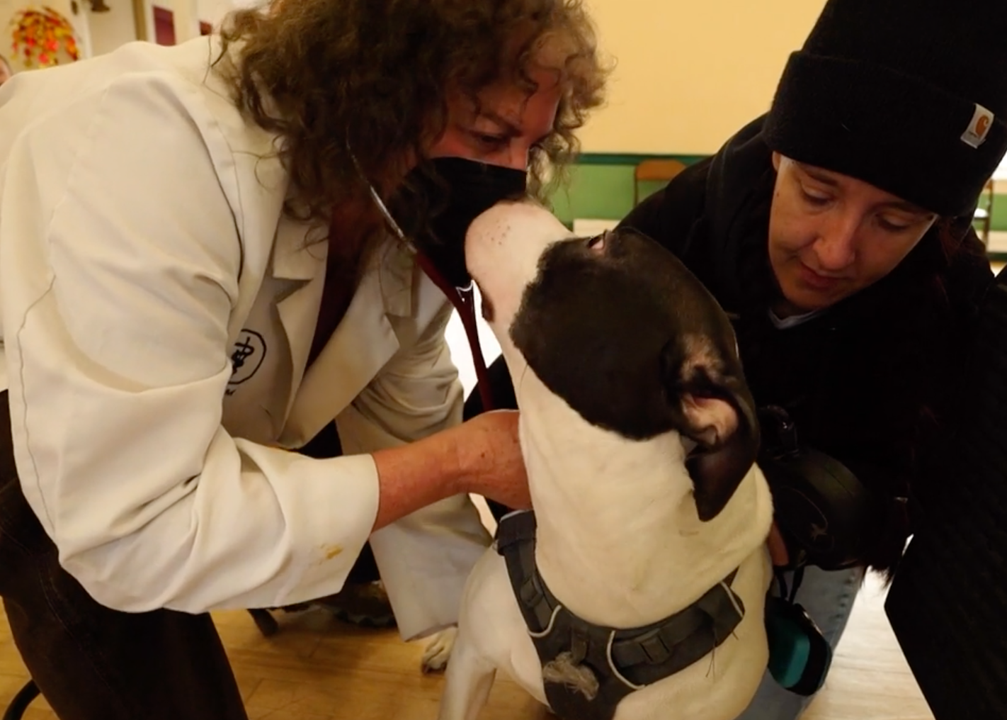 Burlington, VT — The Street Dog Coalition