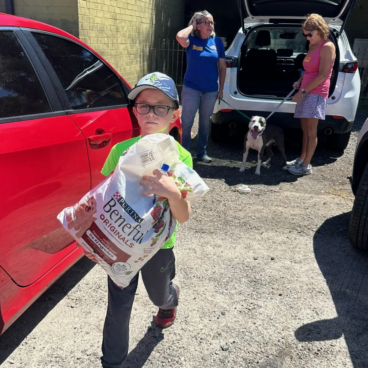 Columbia, SC — The Street Dog Coalition