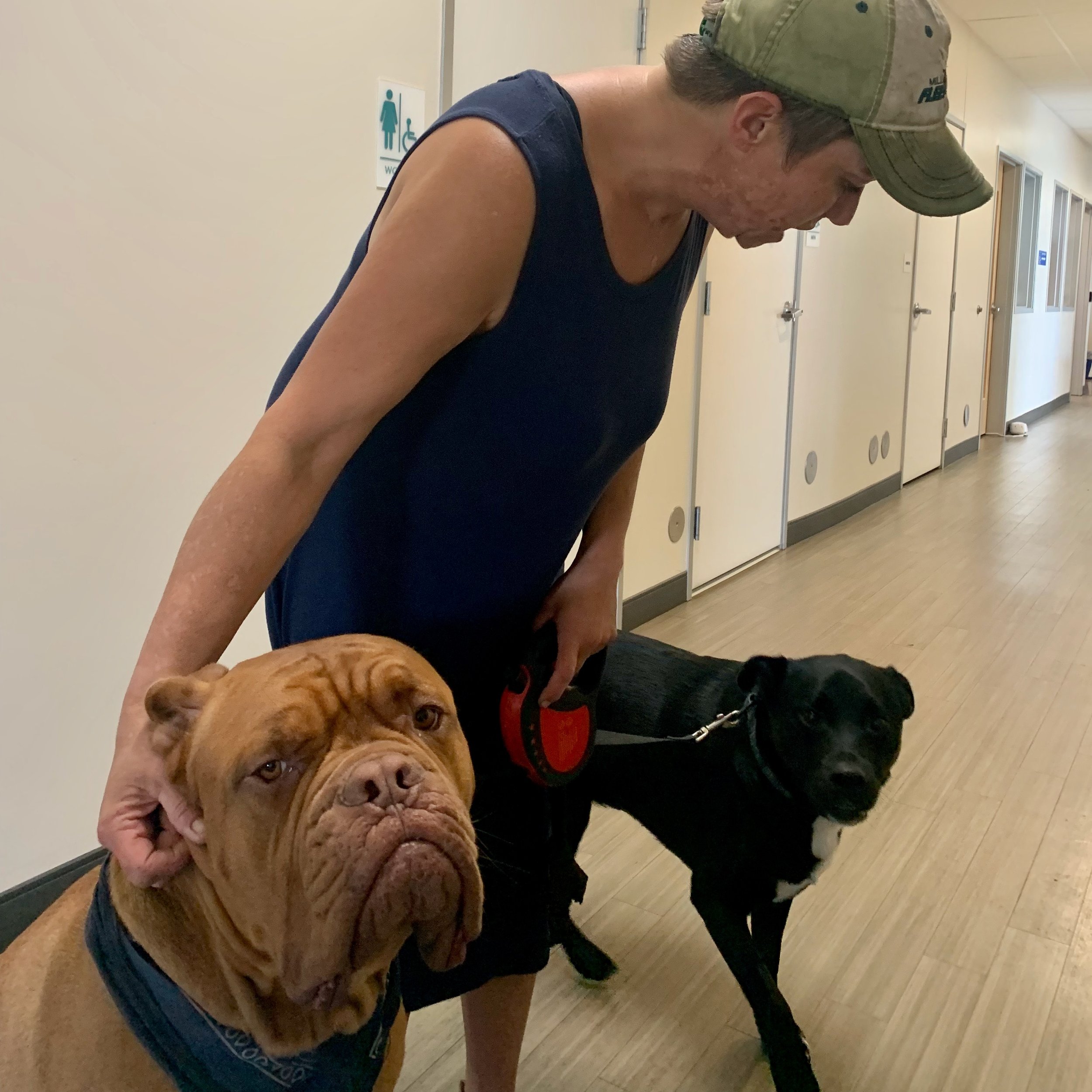 Fort Collins, CO — The Street Dog Coalition