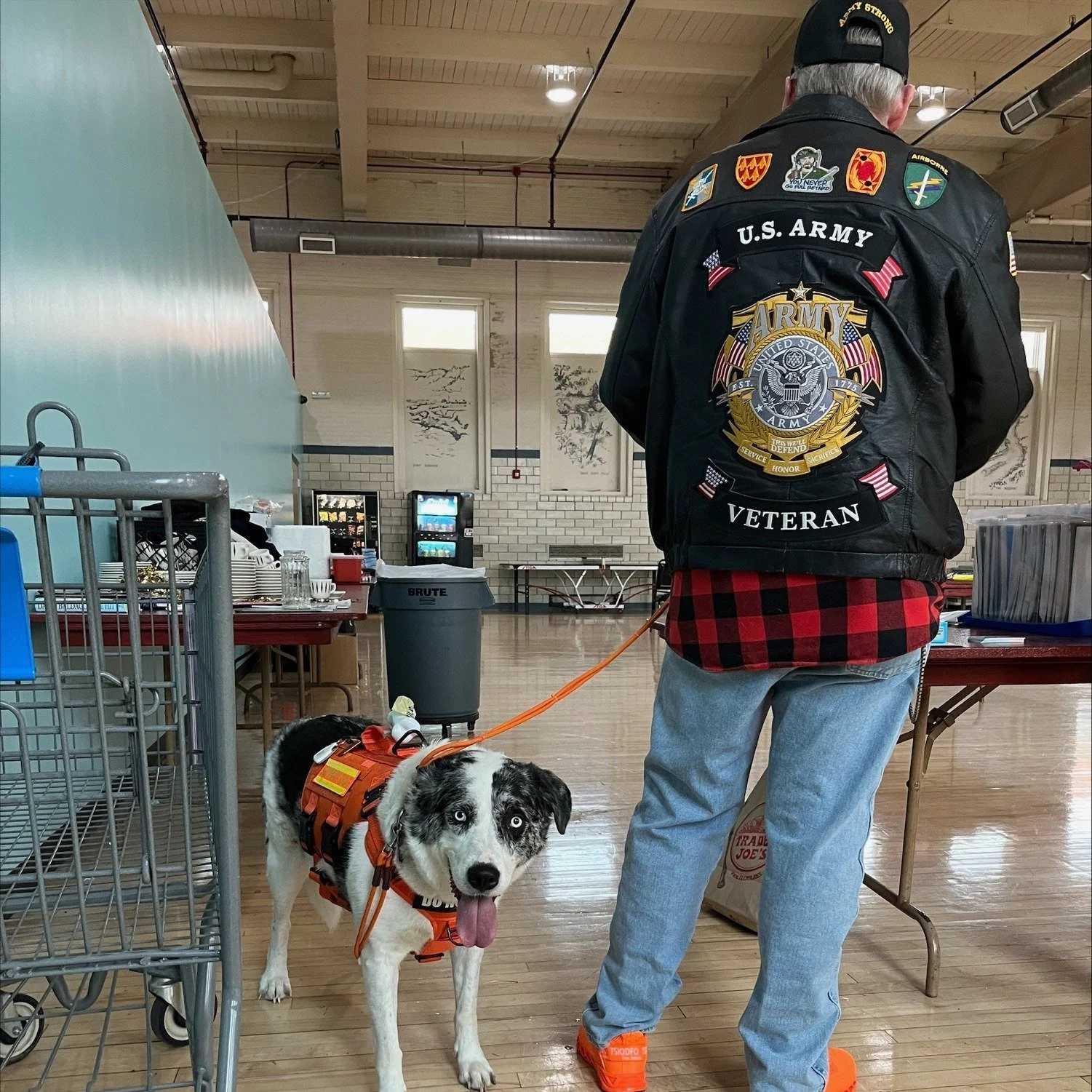 Vets for Vets — The Street Dog Coalition