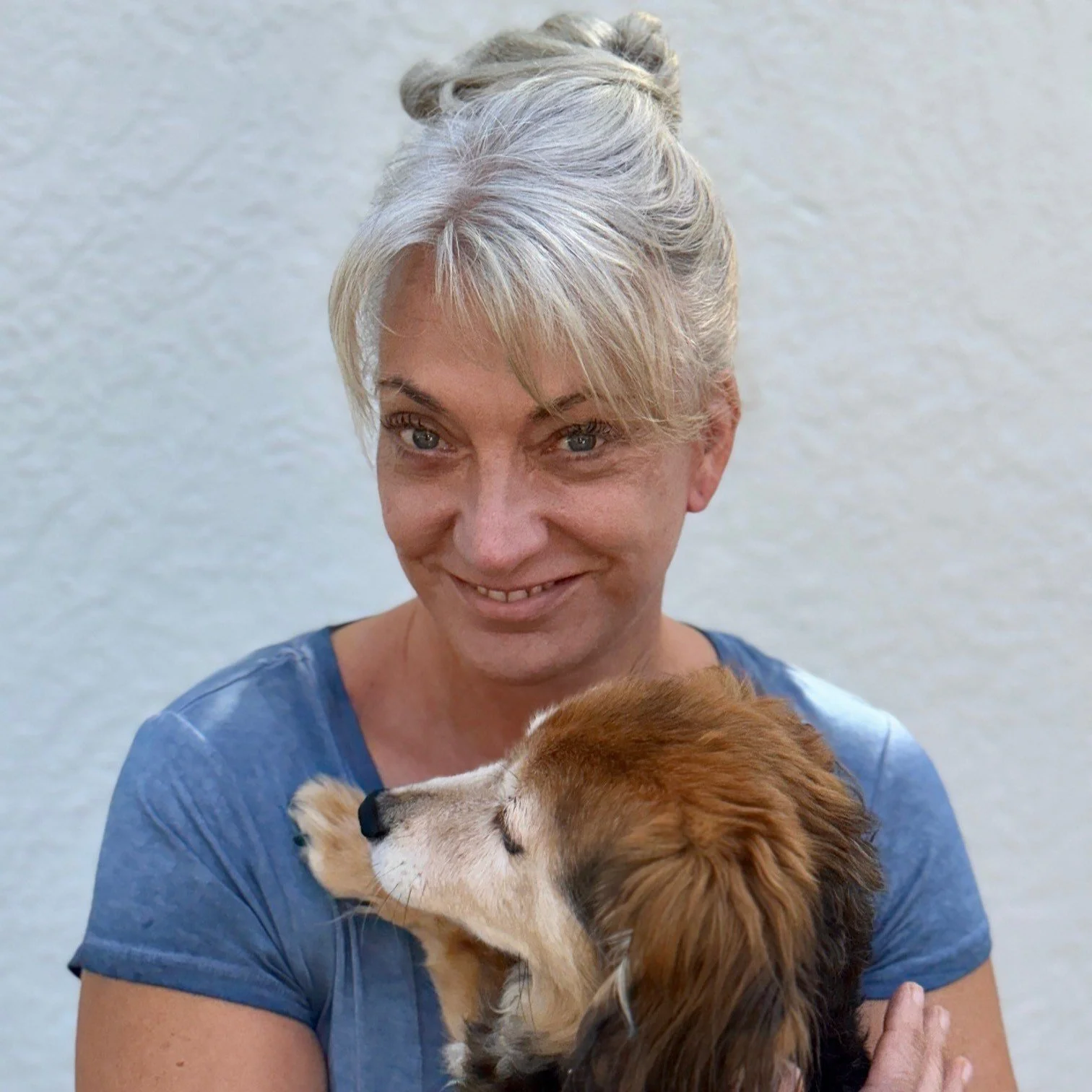 Our Board — The Street Dog Coalition