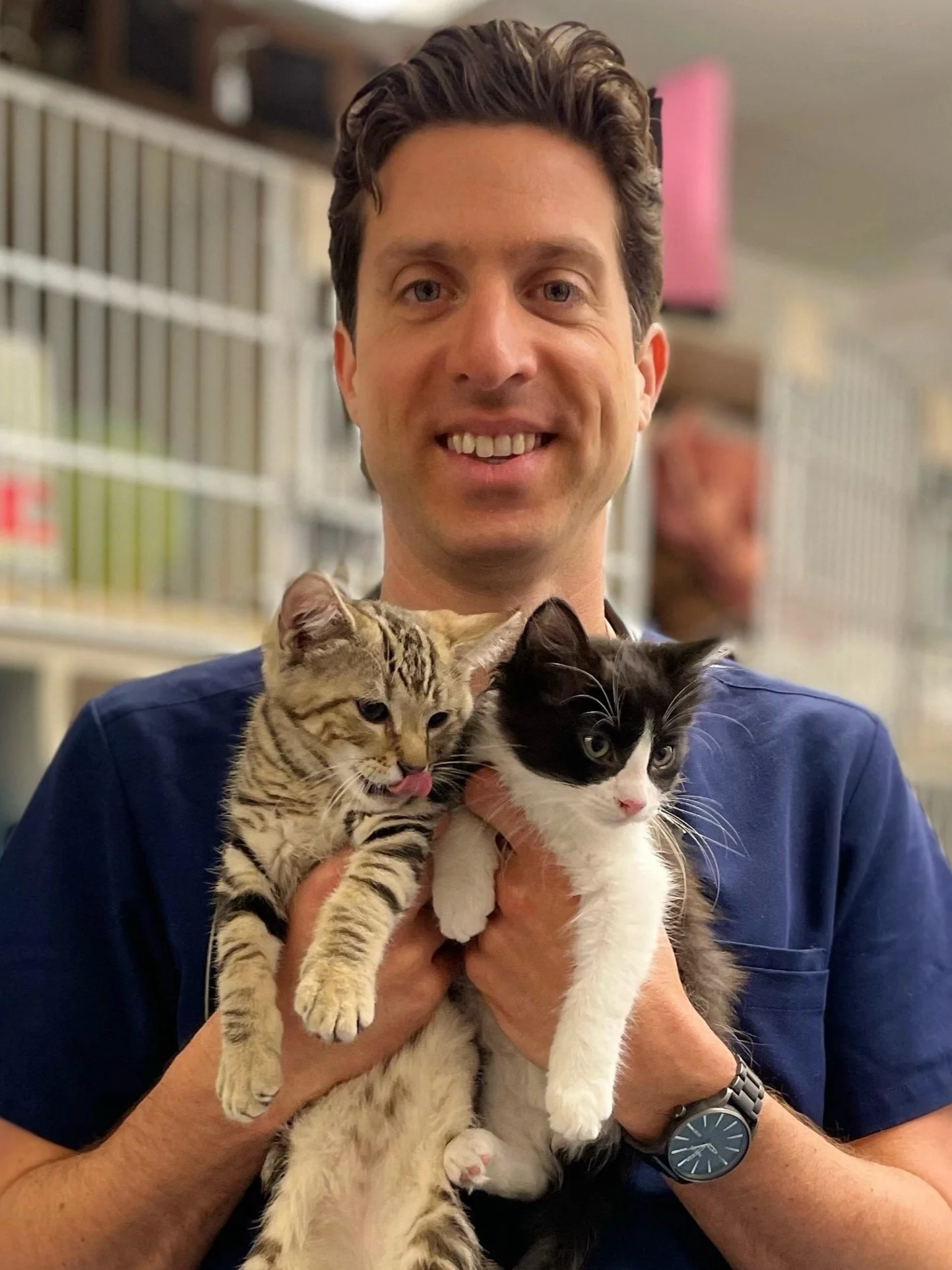 New York, NY — The Street Dog Coalition