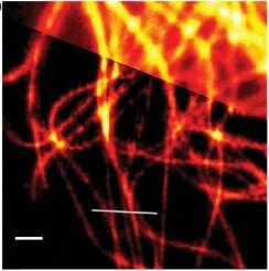 Amit Meller Lab, Technion : Open Positions