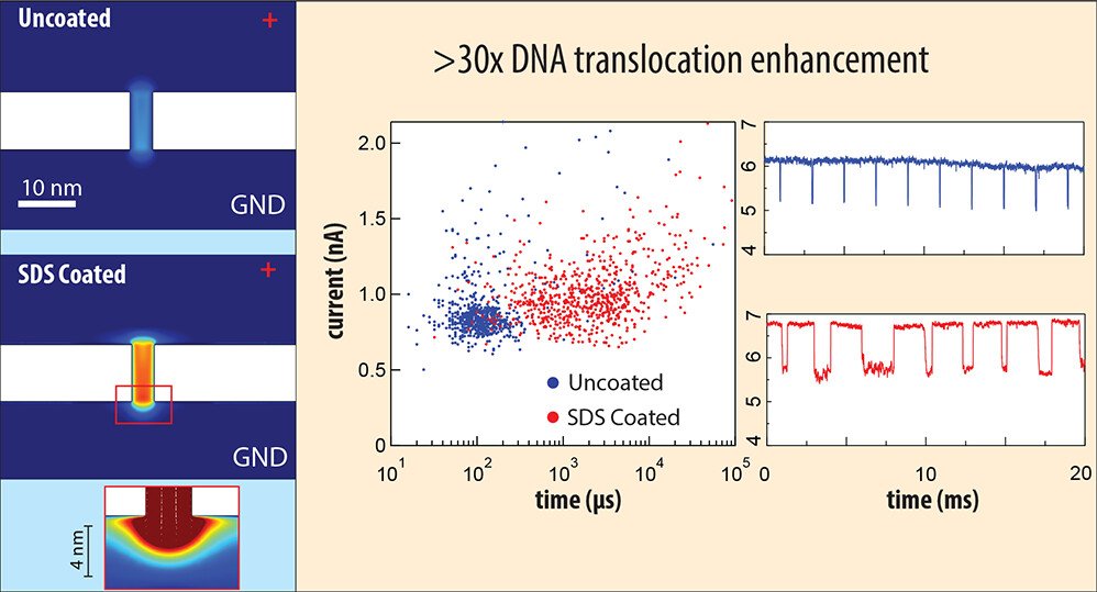 Amit Meller Lab, Technion