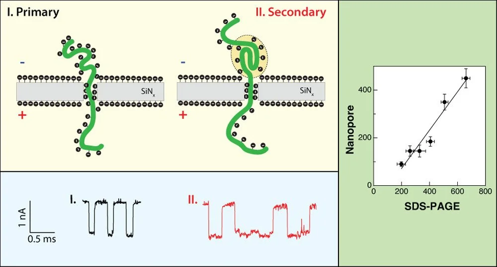 Amit Meller Lab, Technion : Publications, articles and reviews