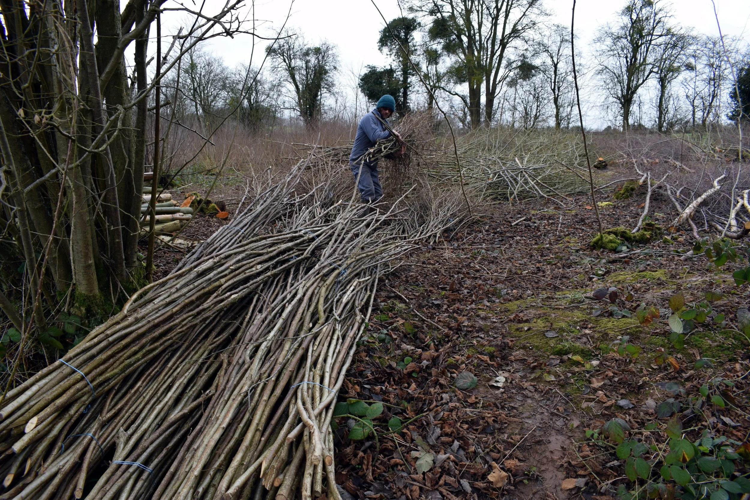 Coppice Products — Moreton Wood