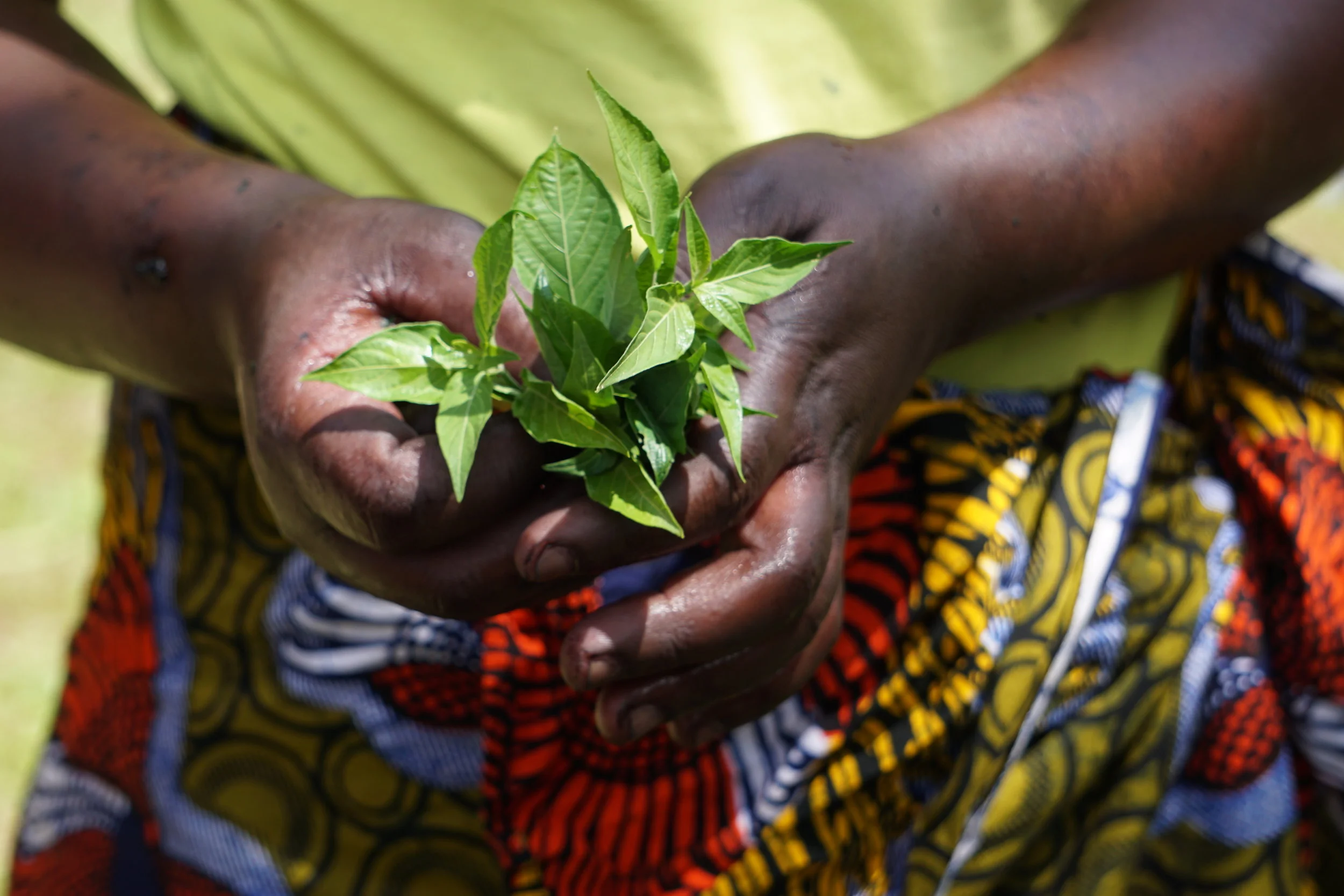 Traditional Cooking — Ride 4 a Woman