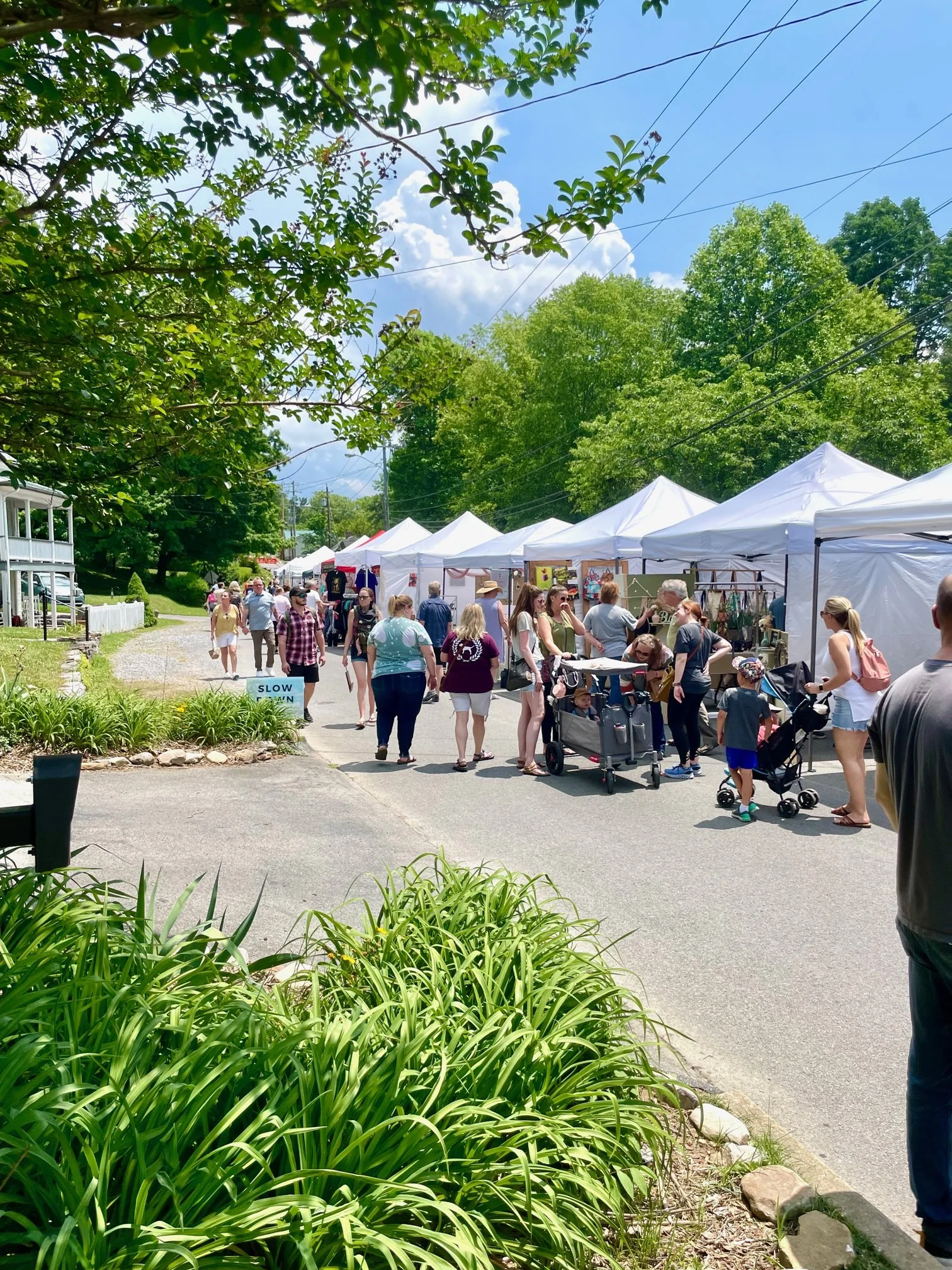 Mill Spring Makers Market