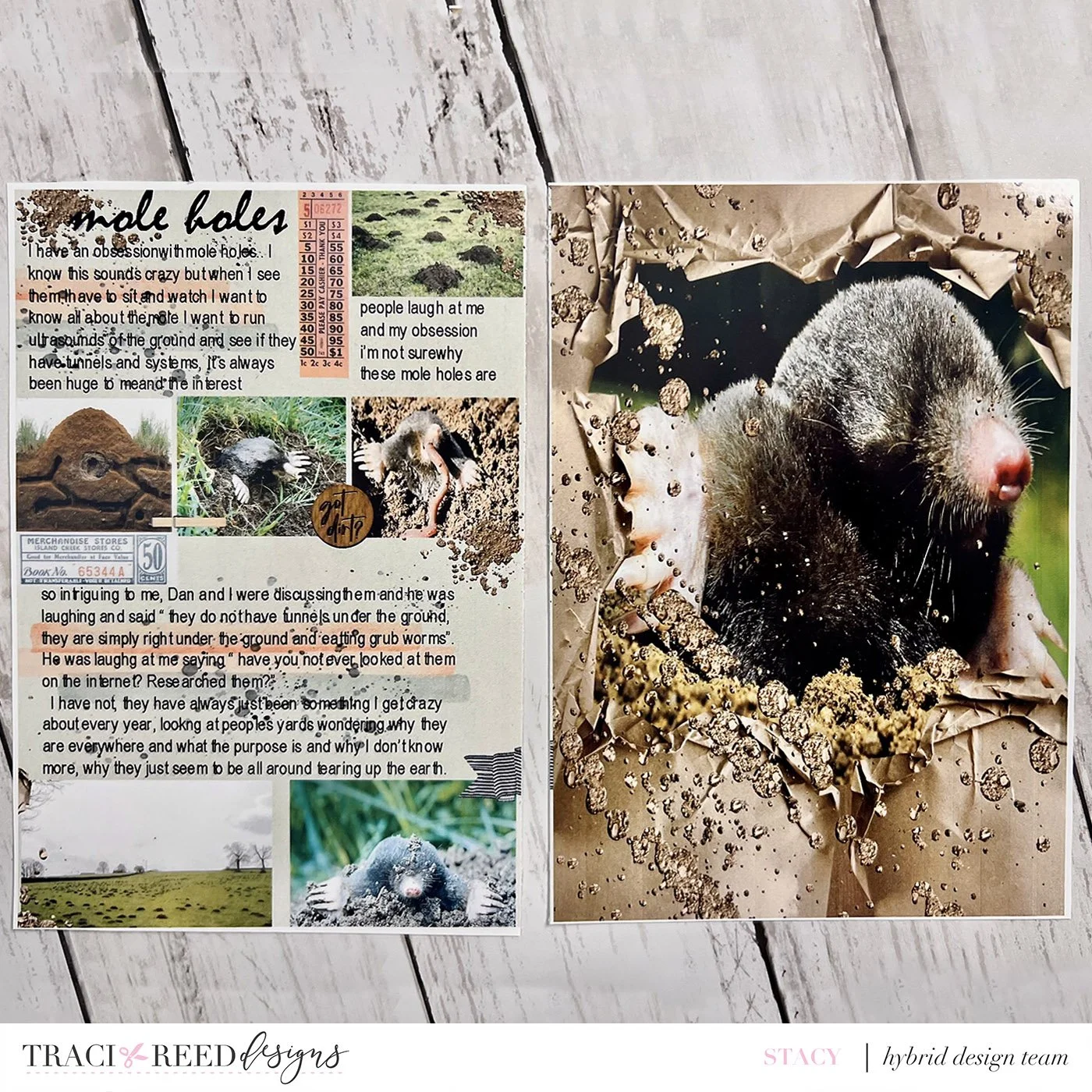 Focus On: Rooted 2.0 — Traci Reed Designs