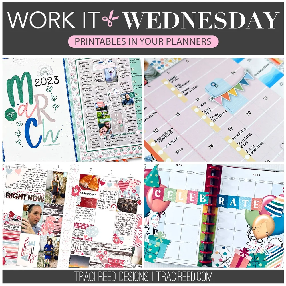 Ways To Work It Wednesday - Printables in Your Planners! — Traci Reed ...