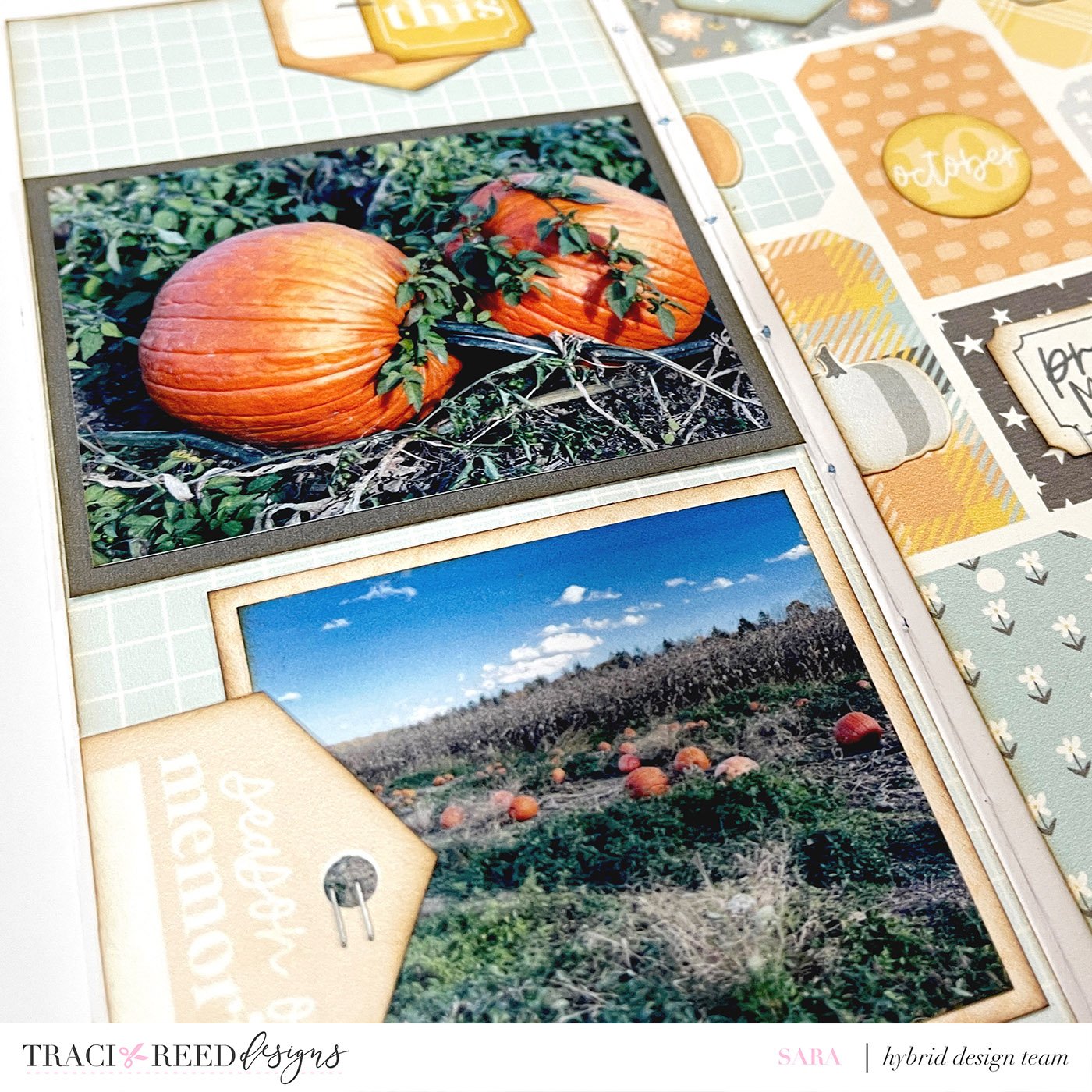 Hybrid Hijinks With Sara: Easy Pages with TN Signatures — Traci Reed ...