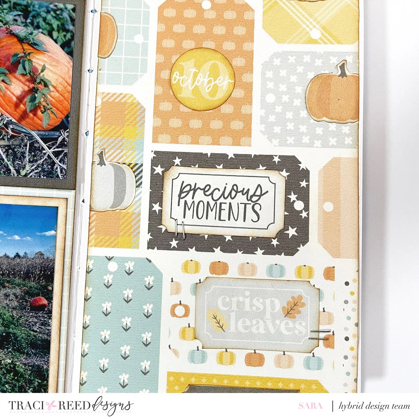 Hybrid Hijinks With Sara: Easy Pages with TN Signatures — Traci Reed ...