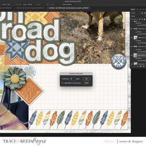 Tutorial: Simple Custom Text Boxes in Photoshop — Traci Reed Designs