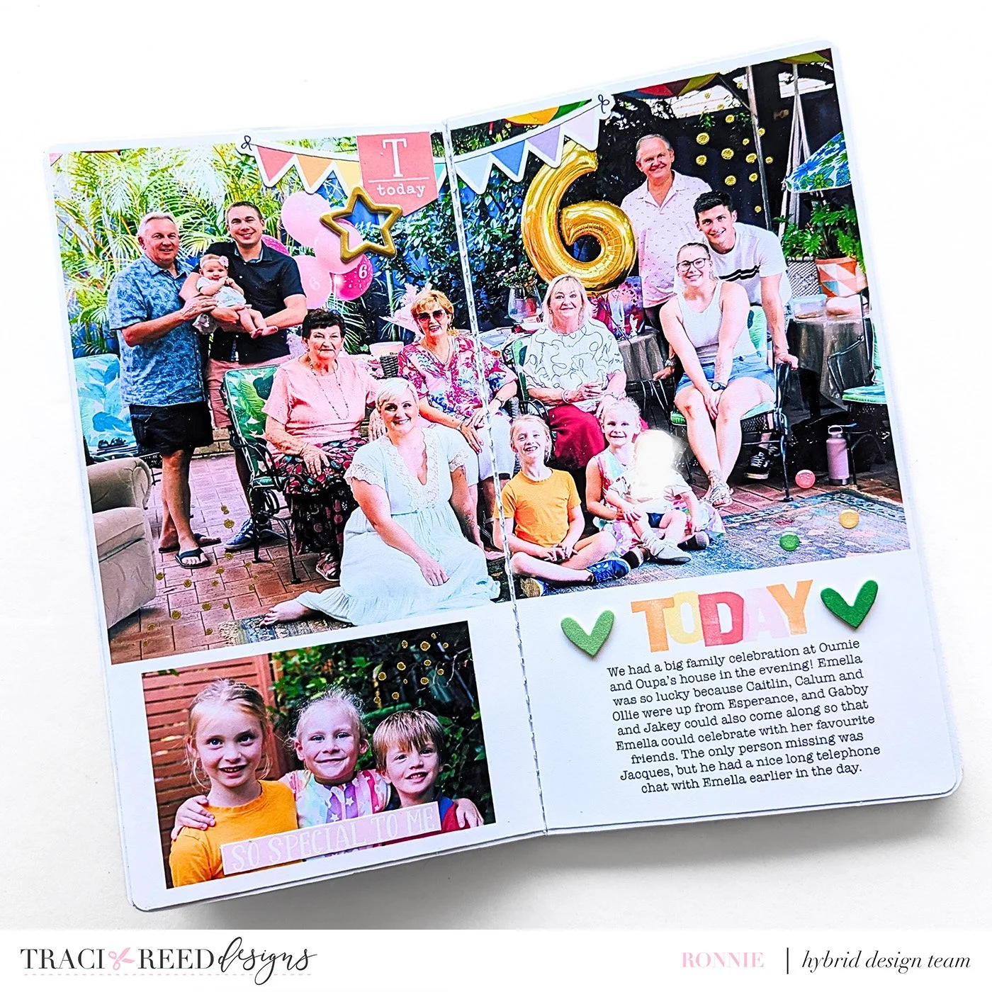 Documenting Big Stories in a Small Album with Ronnie — Traci Reed Designs