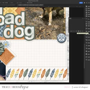 Tutorial: Simple Custom Text Boxes in Photoshop — Traci Reed Designs