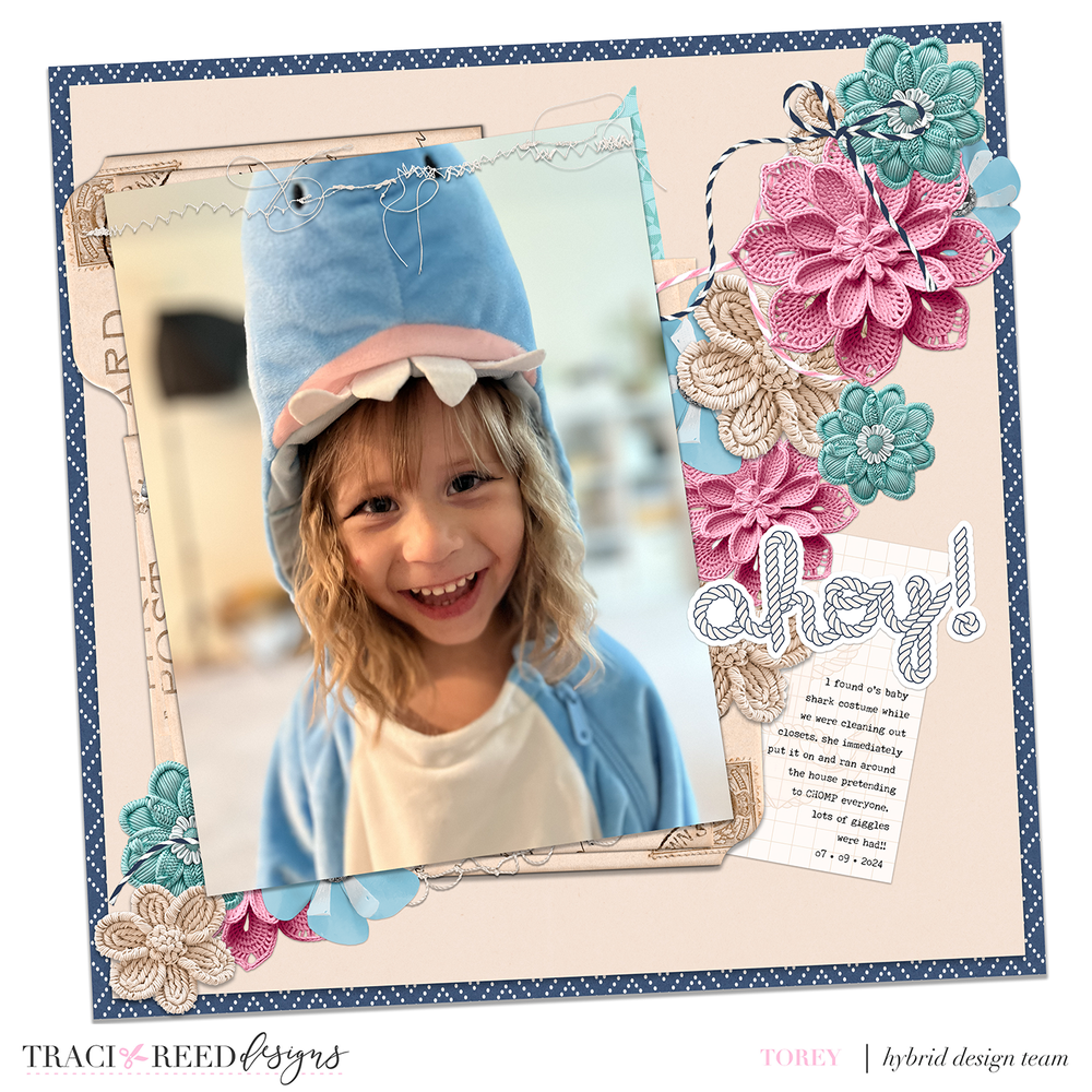 Fifteen of Our FAVORITE Layouts Using the True North Collection ...