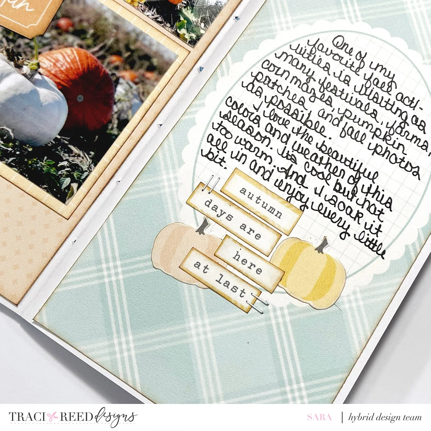 Hybrid Hijinks With Sara: Easy Pages with TN Signatures — Traci Reed ...