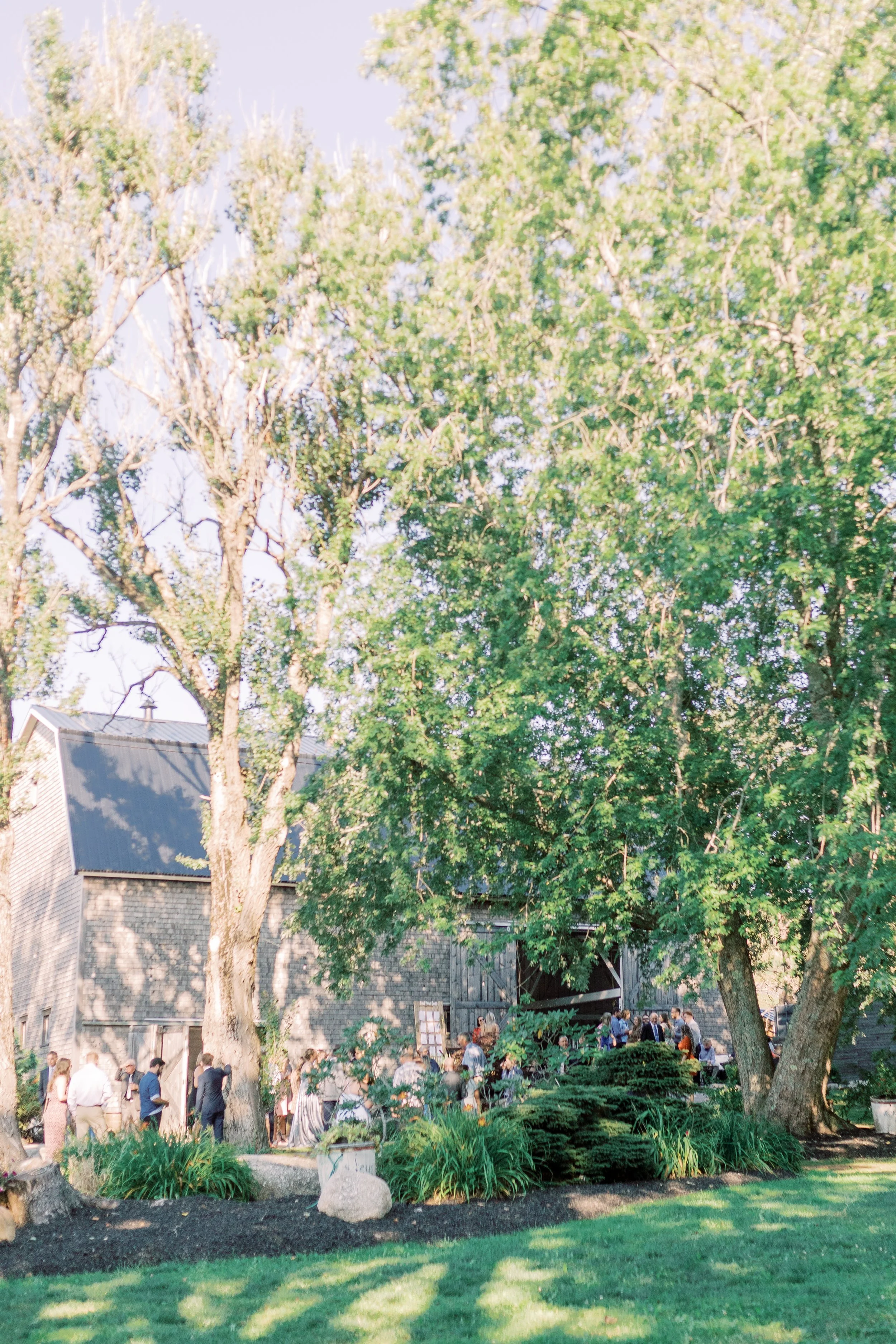 The Barn — Farm at South Cove