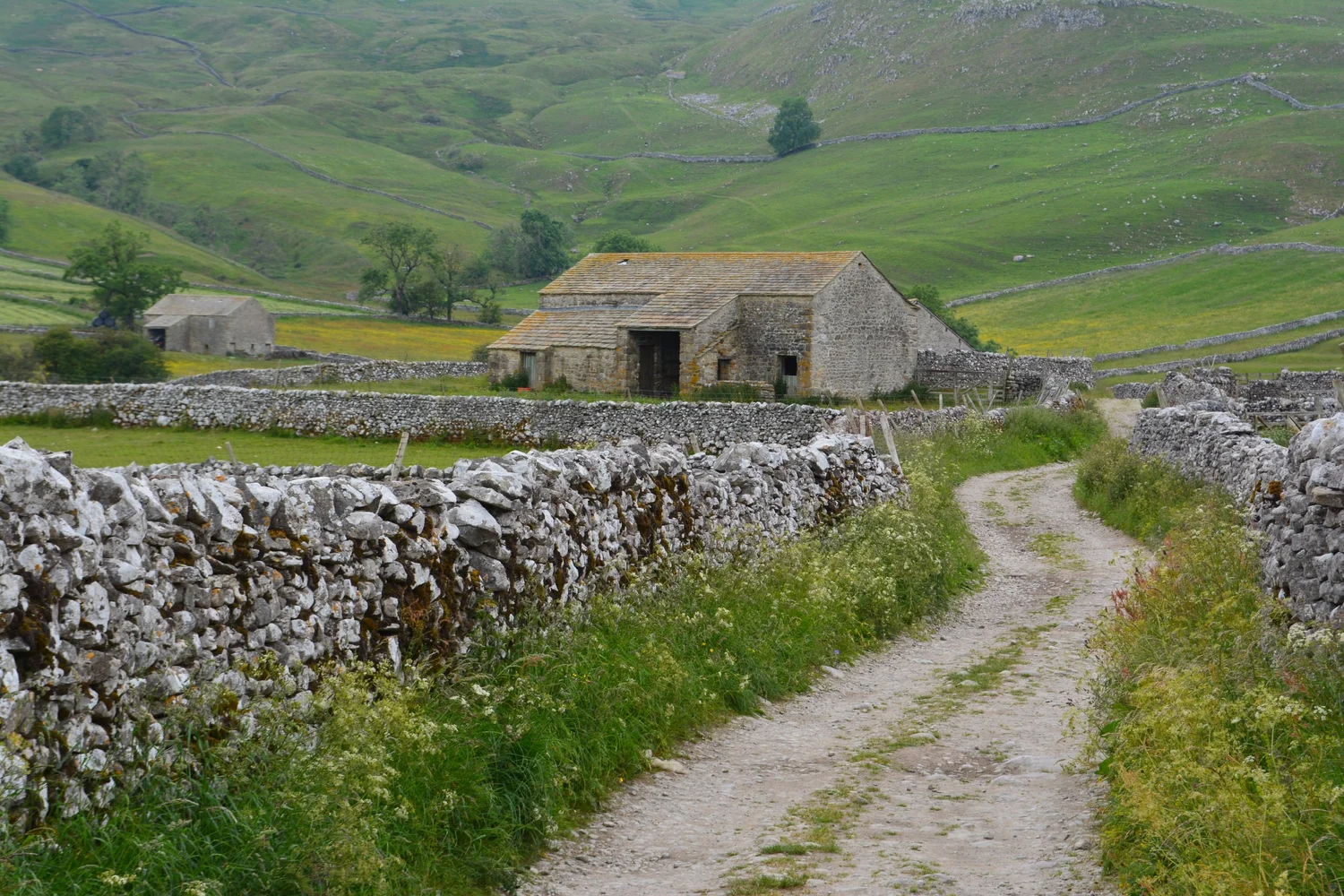 Exploring Limestone Country — Muddy Boots Walking Holidays - Walking ...
