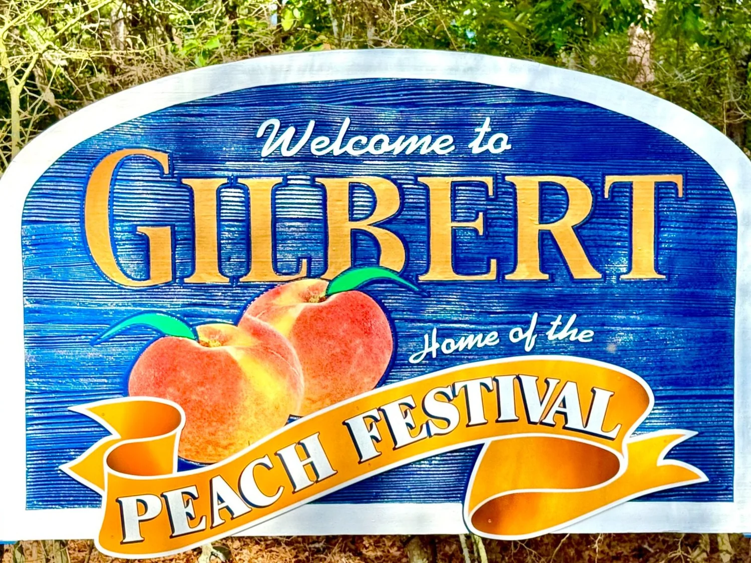 Zoning Ordinances — Town of Gilbert, SC