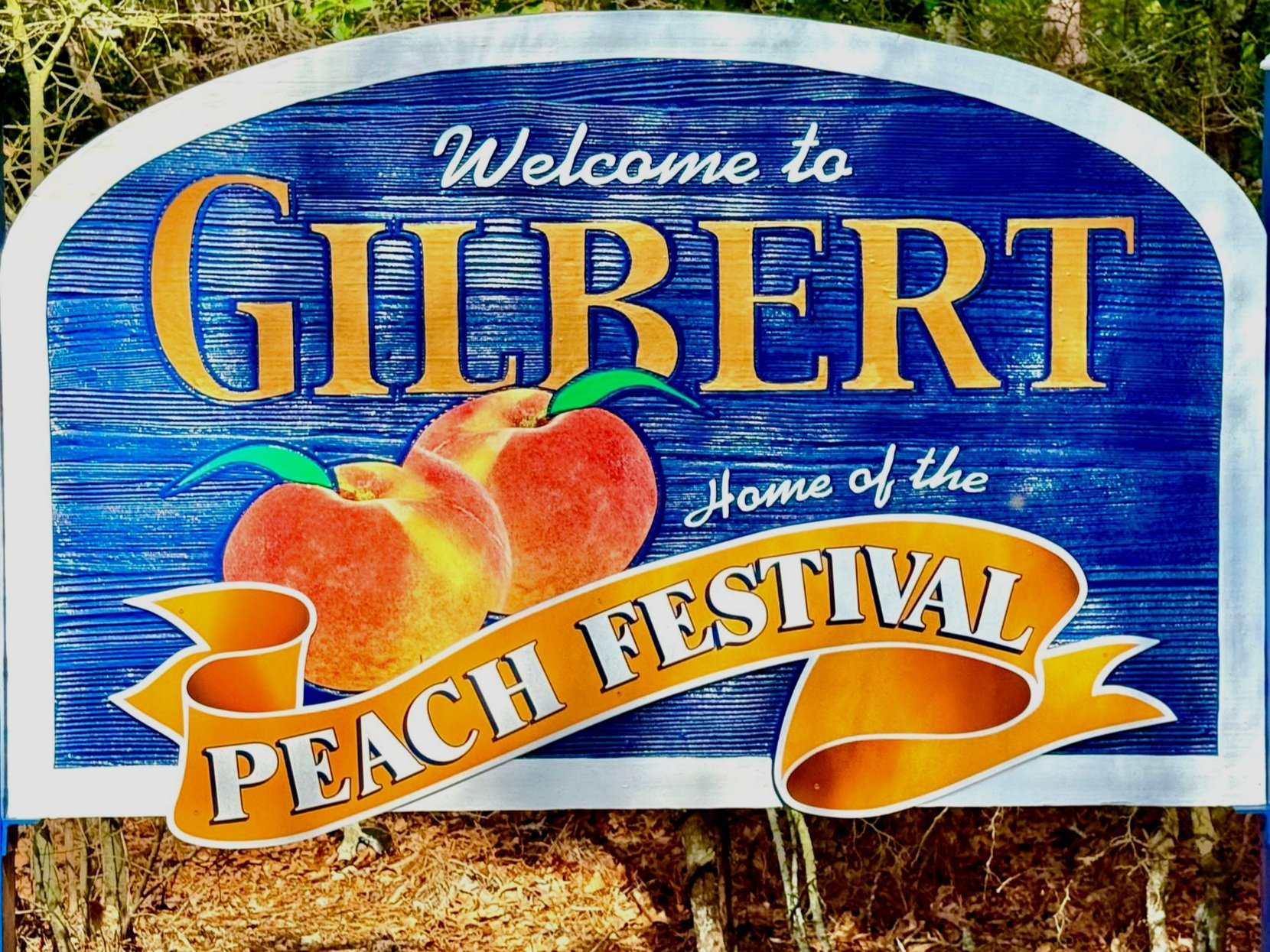 Official Town News — Town of Gilbert, SC