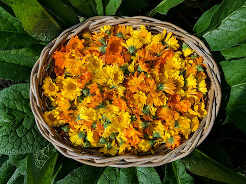 (Why) We Get a Lot of Re-orders