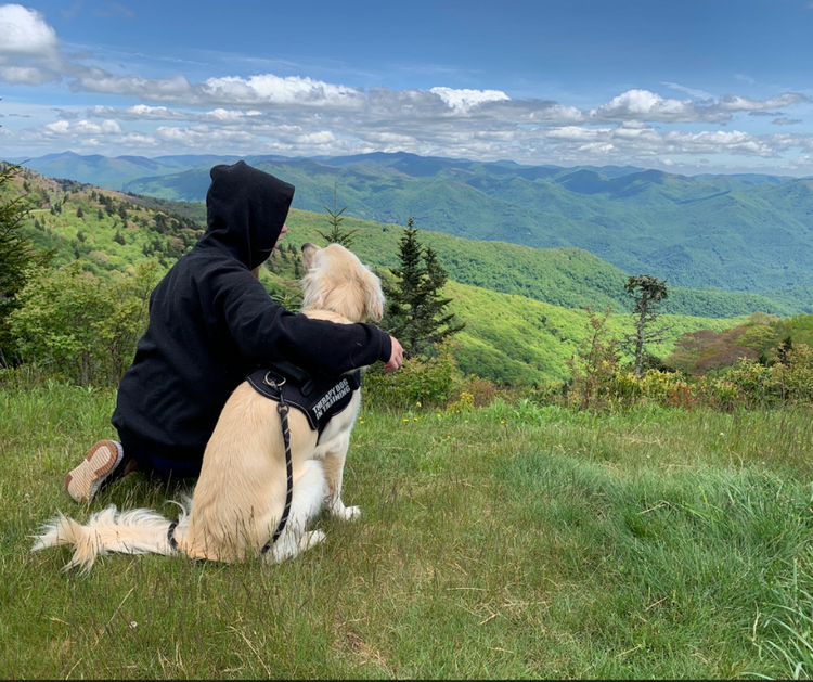 Animal Assisted Interventions — HIGHTS