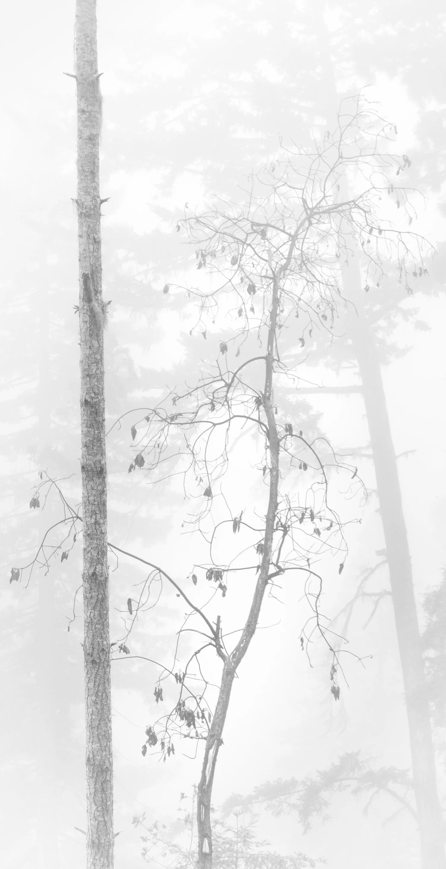 Land — Arun Patel Studio