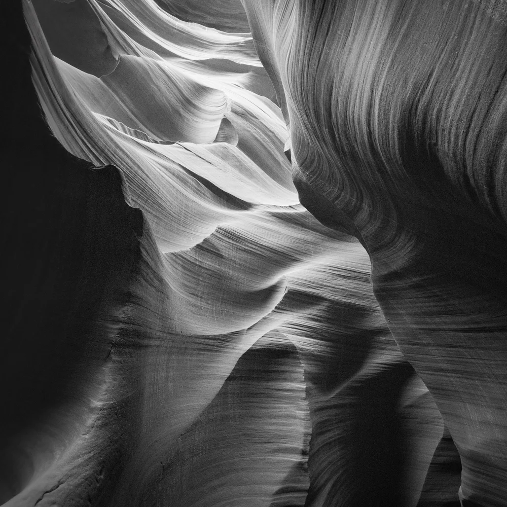 Land — Arun Patel Studio