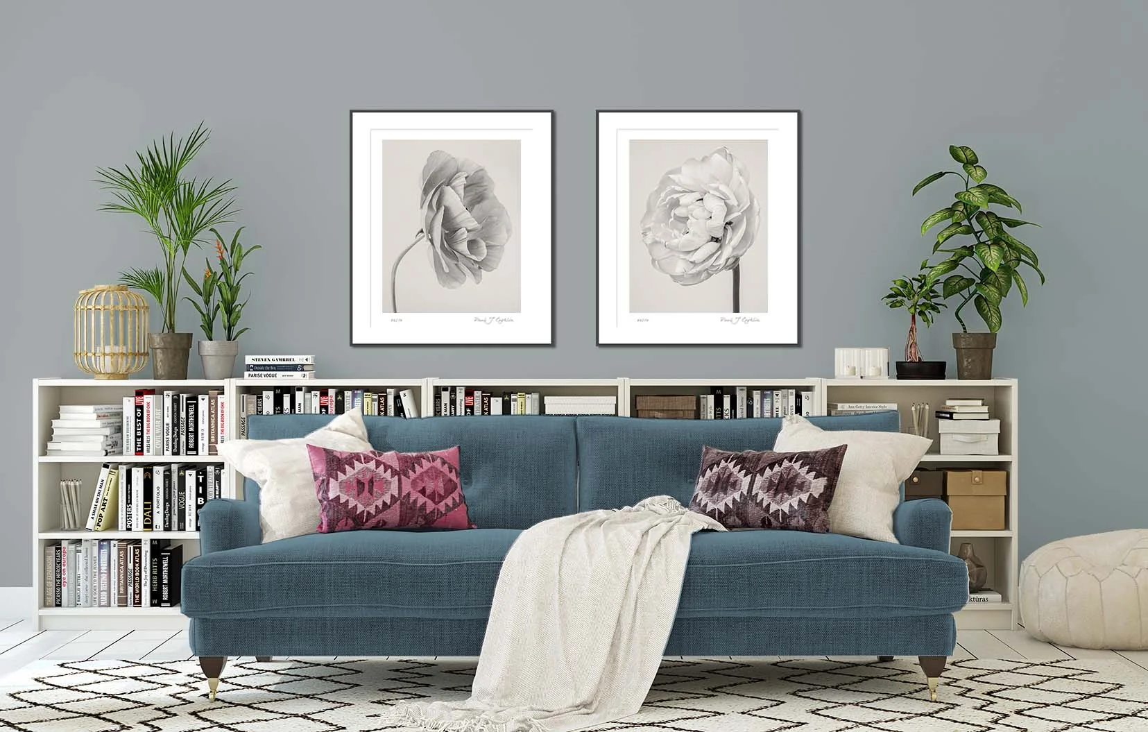 Paul Coghlin — Ranunculus asiaticus (Persian Buttercup) I. Limited ...