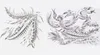 What is Spencerian Calligraphy? — Wild Sea Calligraphy - Modern ...