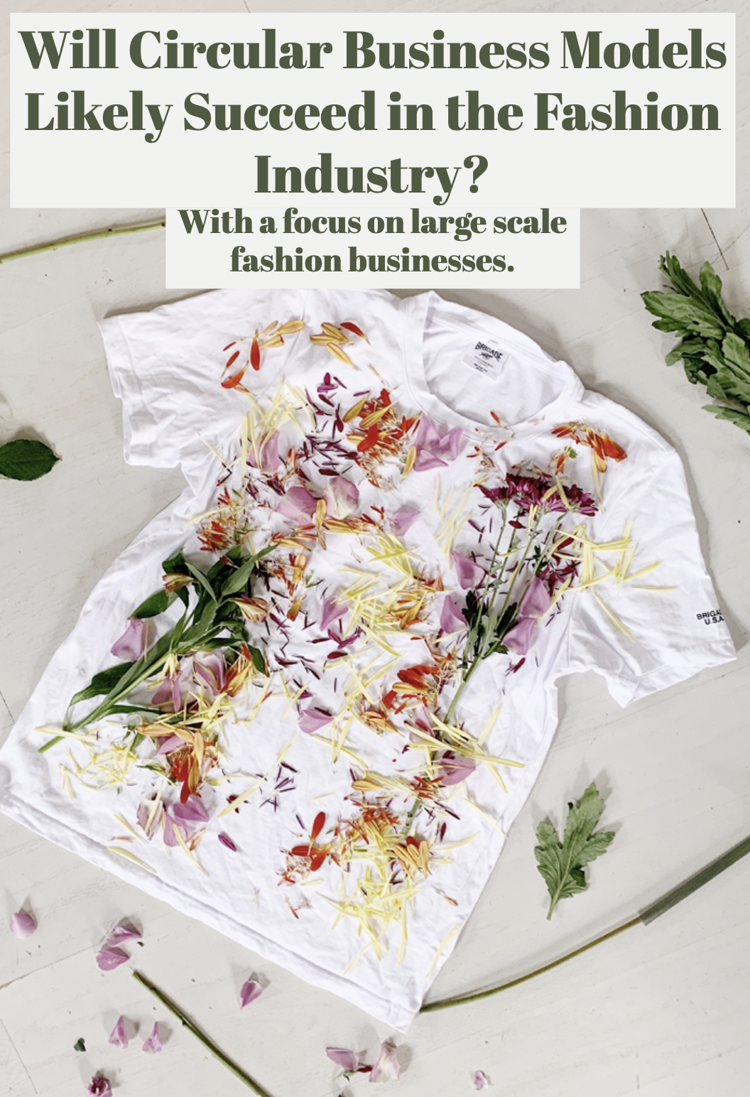 2023 GRADUATES (Surnames: A-L) — WSA FASHION MARKETING WITH MANAGEMENT