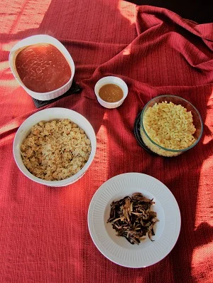 Protopantry Koshary — the protopantry