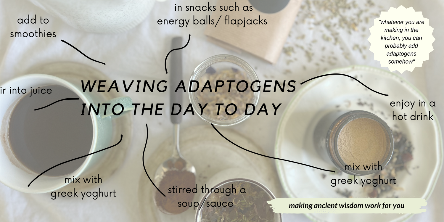 THE RECIPE LIBRARY — The Food Doula