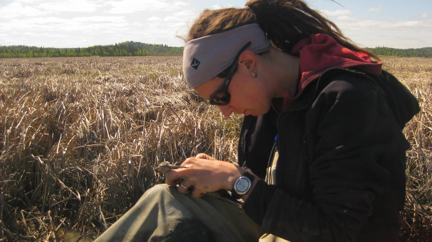 Chickaloon Flats: A Hidden Gem on the Kenai National Wildlife Refuge ...
