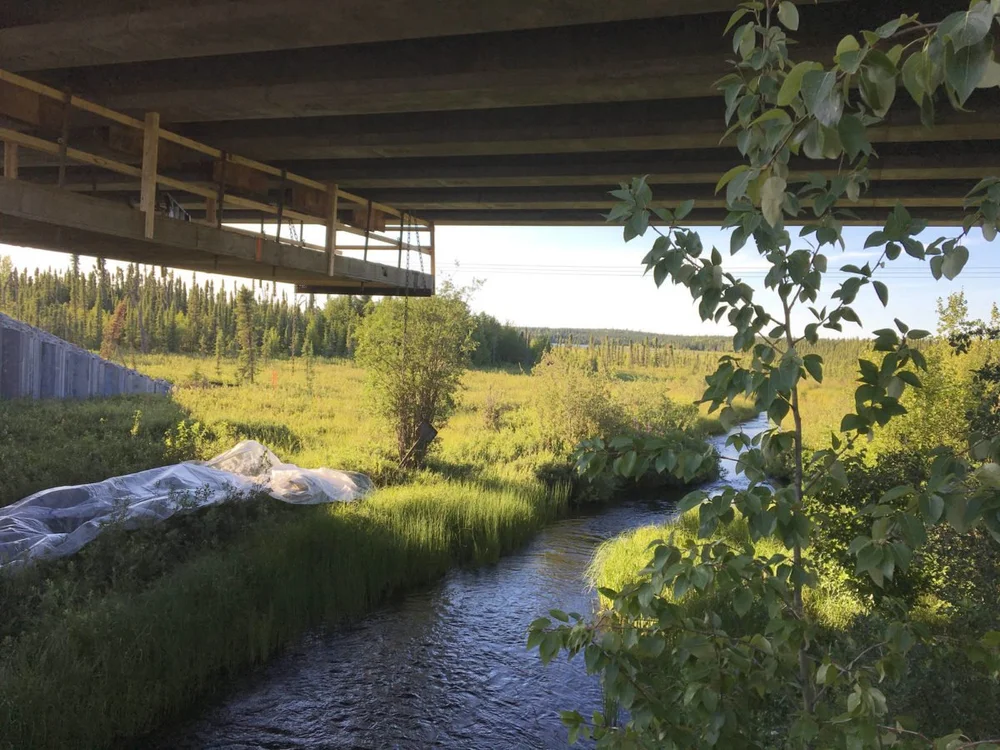 StoryMap! Wildlife and the new Sterling Highway underpasses — Alaska ...