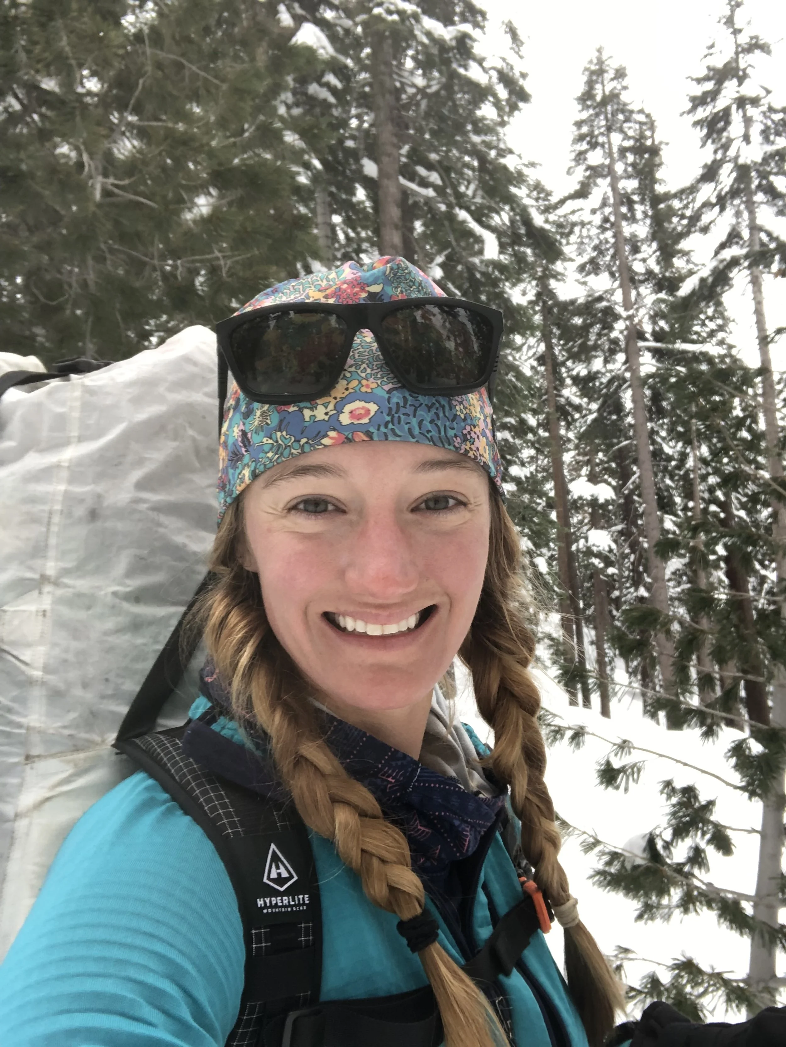 Who We Are | Alaska Wildlife Alliance (AWA)