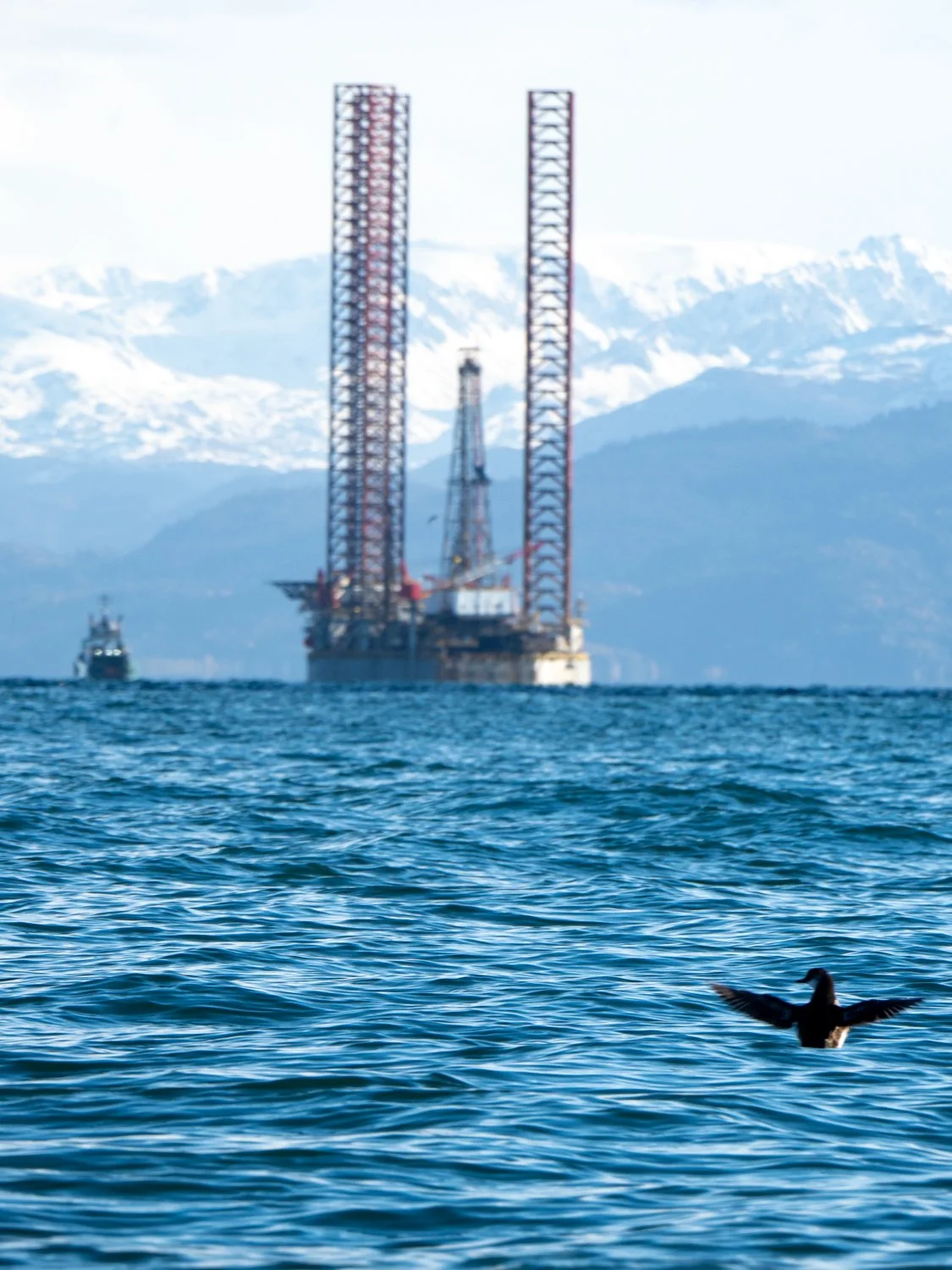 Petition to Protect Lower Cook Inlet Wildlife — Alaska Wildlife ...