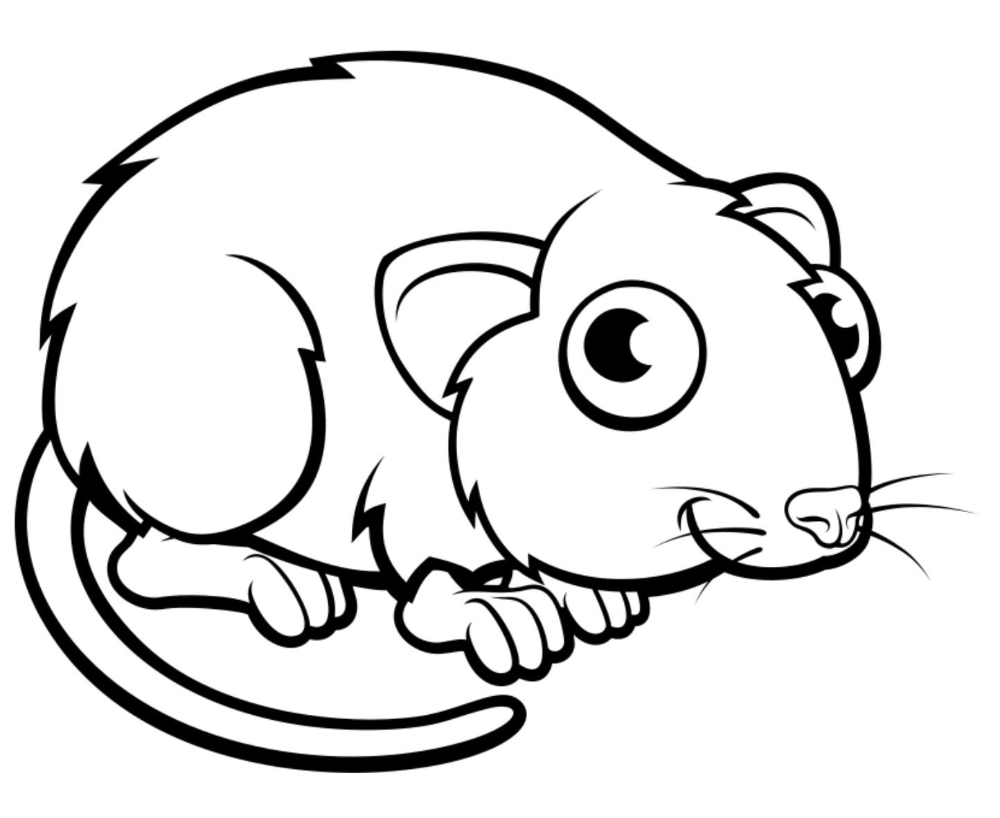 Meadow Vole: Scurrying its Way Across Alaska! — Alaska Wildlife ...